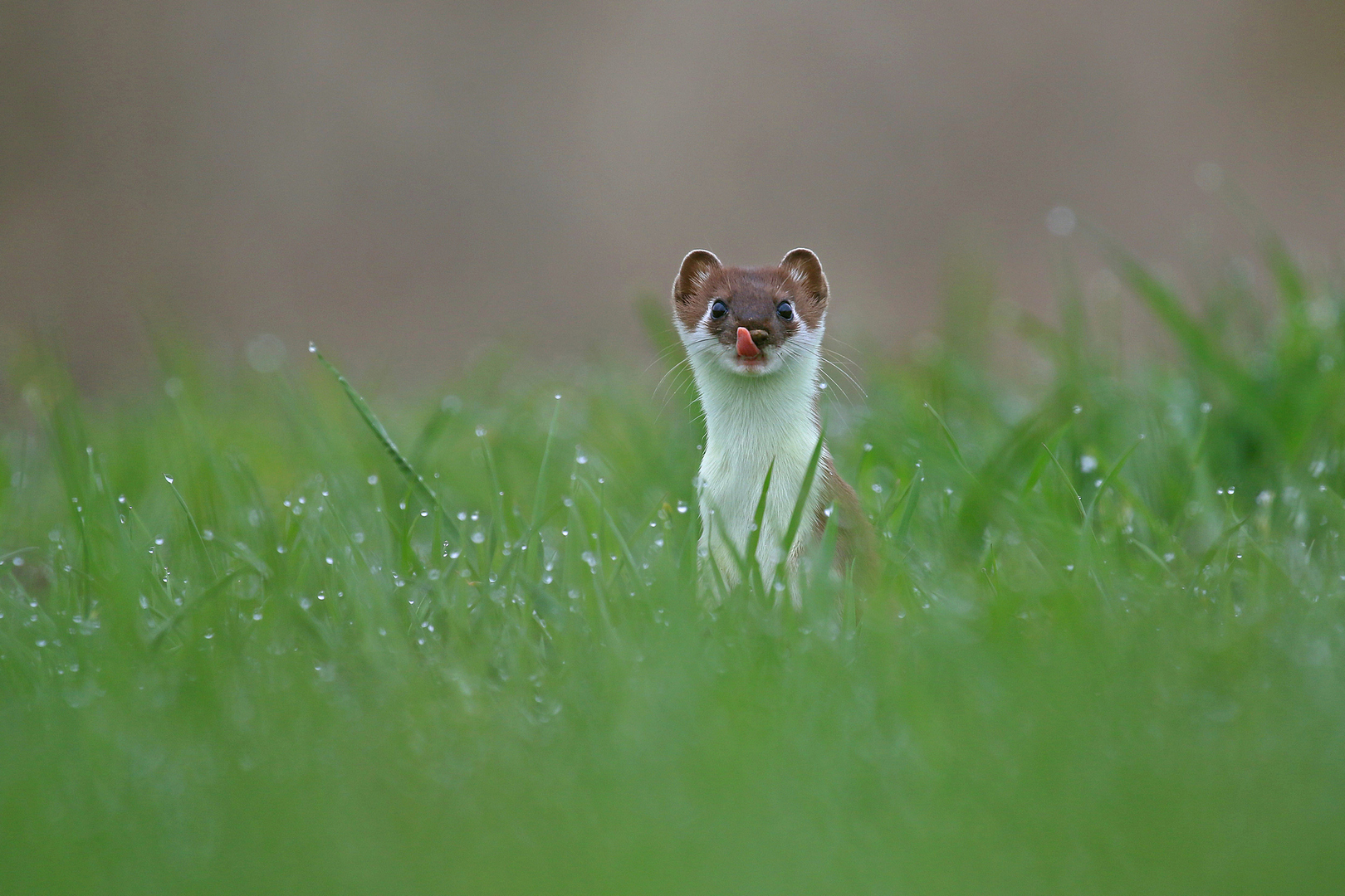 6th Fjord-Bergen - FIAP Blue Pin - Fjord-Bergen Exhibition of ...